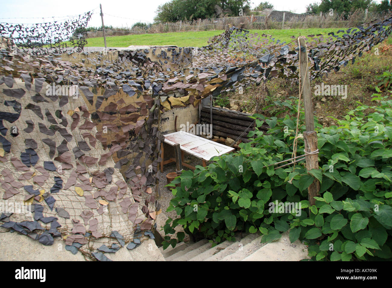 Bunker camouflage hi-res stock photography and images - Alamy