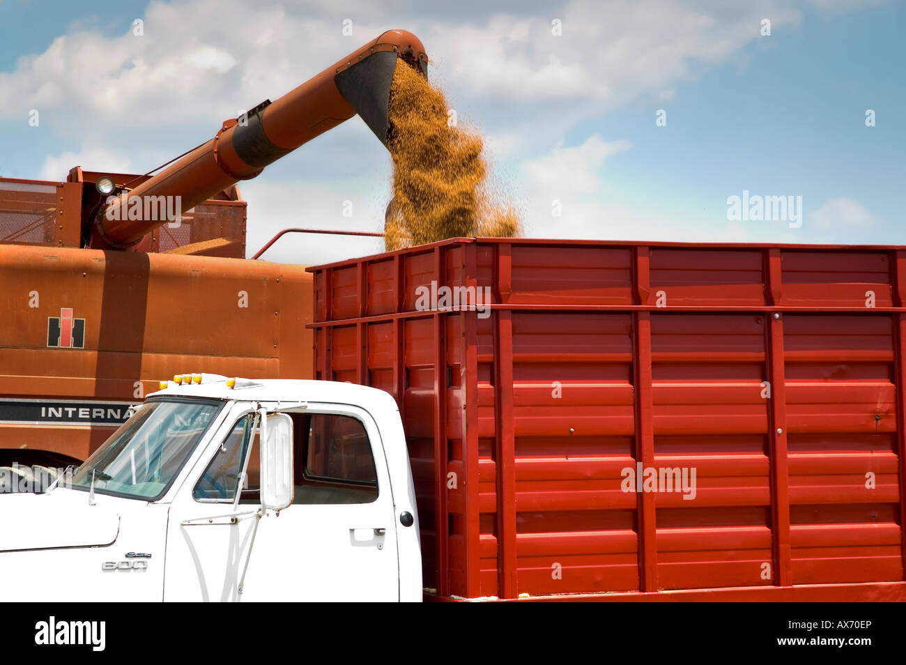 Combine dump truck harvest wheat hi-res stock photography and images ...