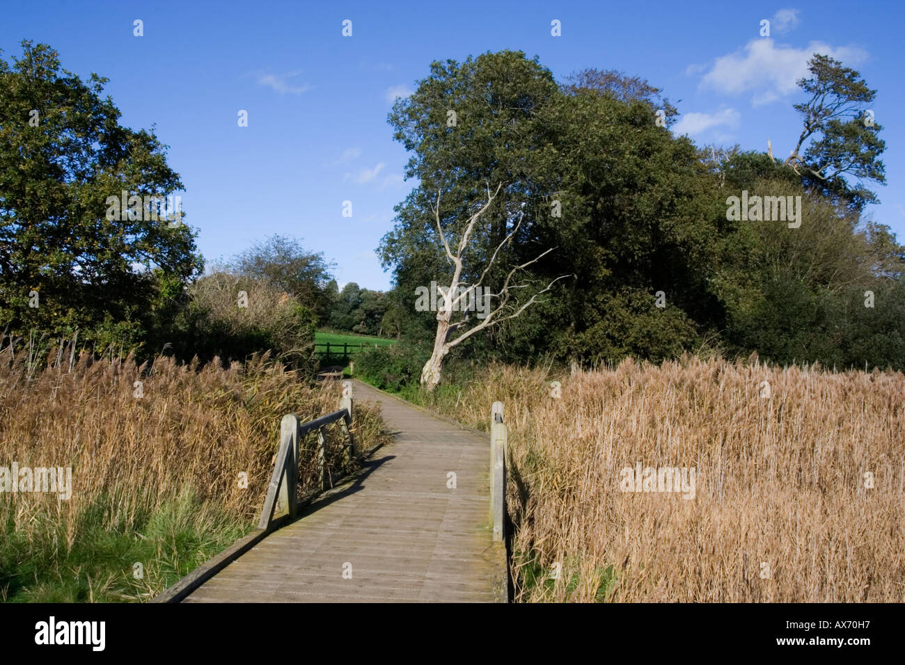 Poole harbour harbor upton country park hi-res stock photography and ...