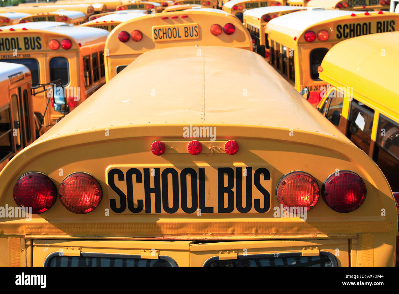 Classic yellow School Buses USA Stock Photo - Alamy