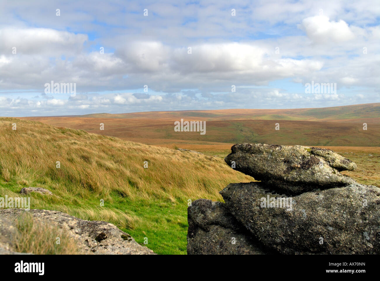 Willsworthy range hi-res stock photography and images - Alamy