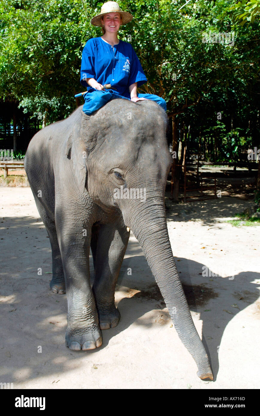 Young woman tourist rides a two ton nine-year-old female elephant ...