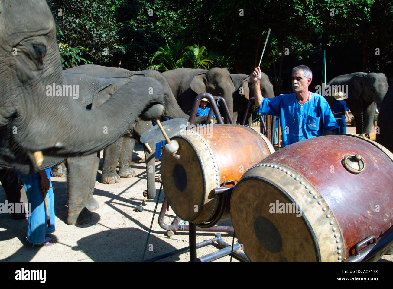 Strange musical instrument hi-res stock photography and images - Alamy