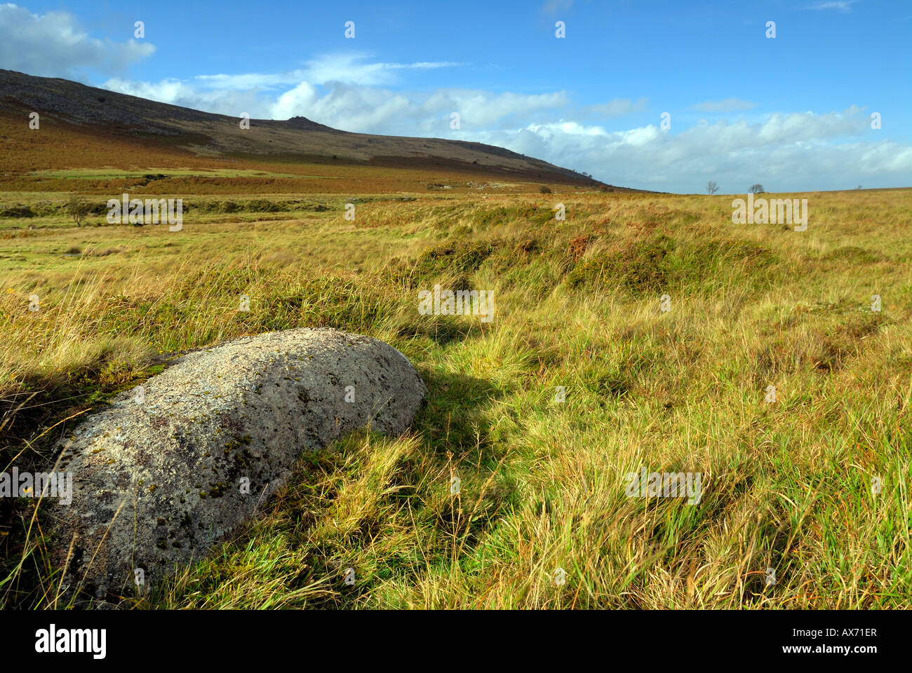 Dartmoor National Park Taw Marsh view in direction of Belstone Common ...