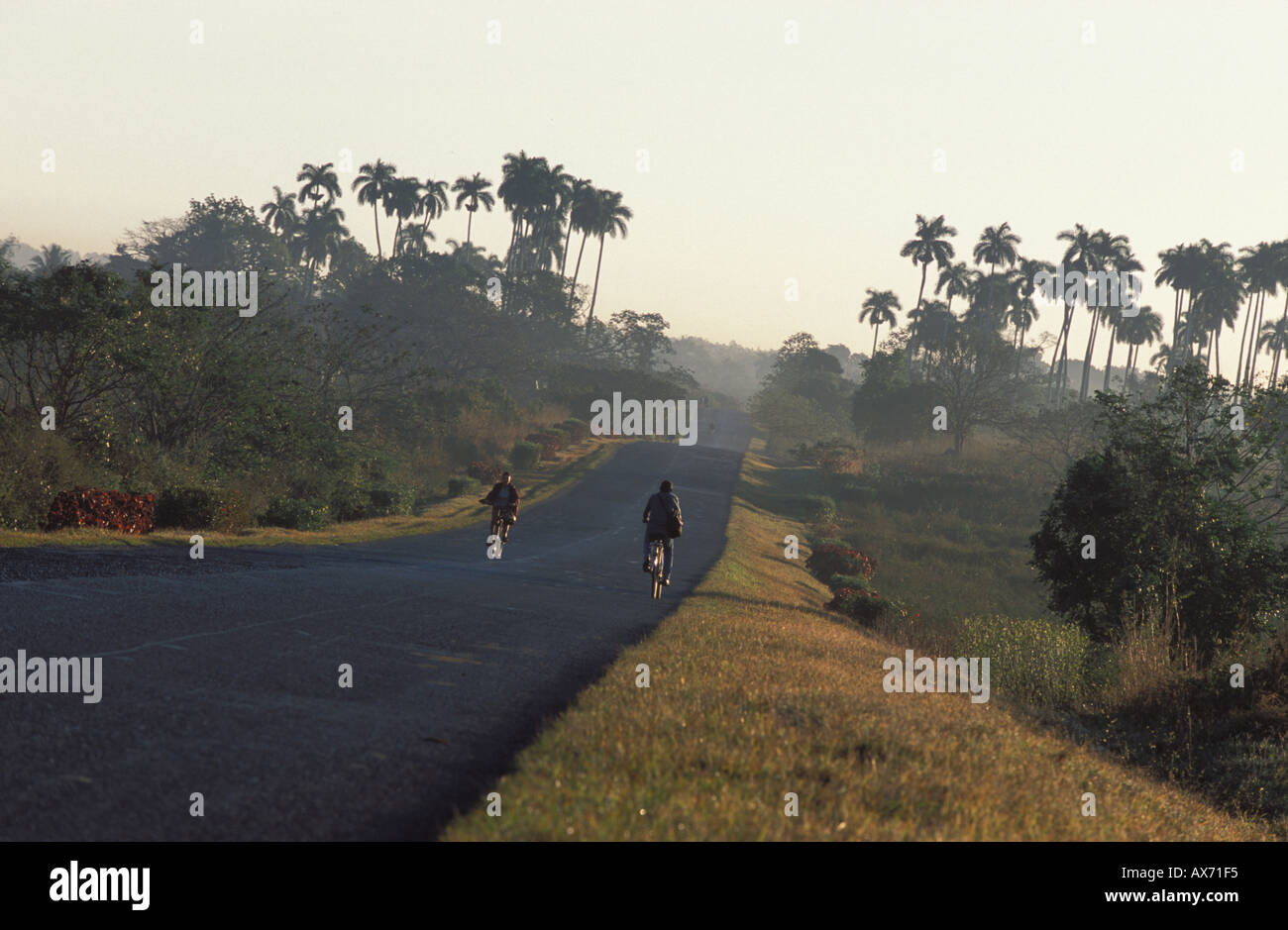 Work rider hi-res stock photography and images - Alamy
