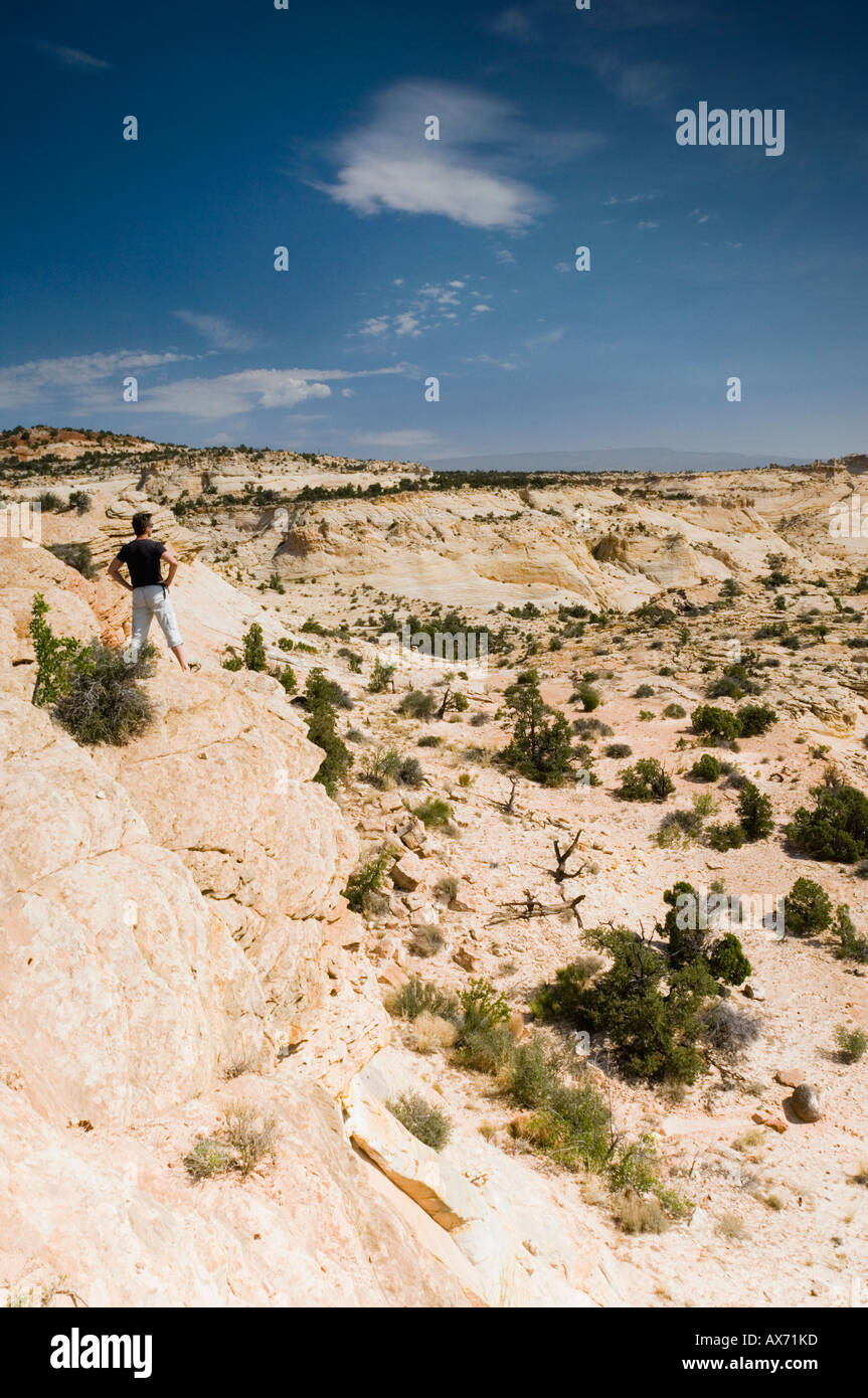 Barren landscape off scenic highway US-93, Nevada, USA Stock Photo - Alamy