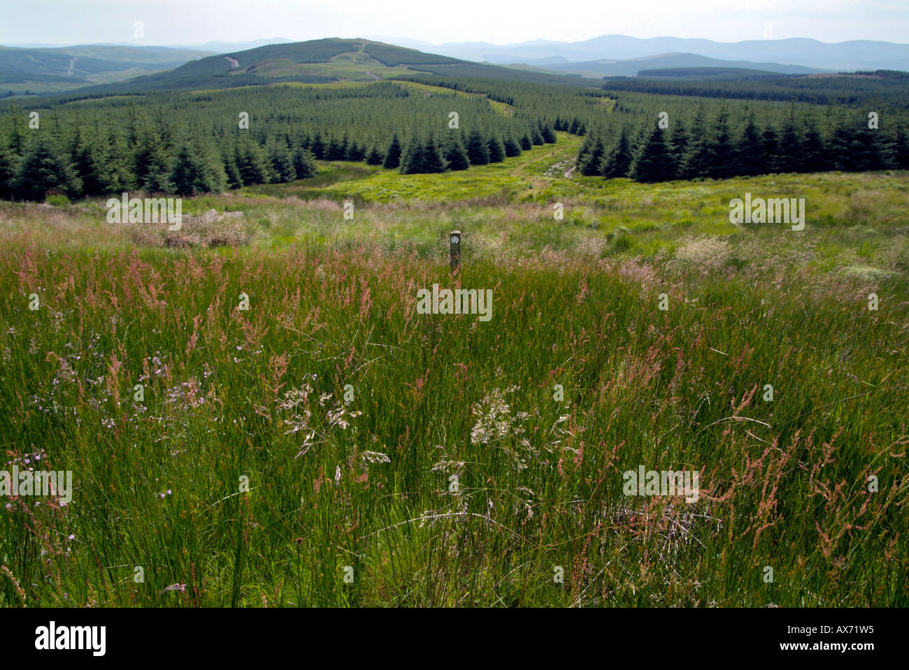 Modest signage hi-res stock photography and images - Alamy