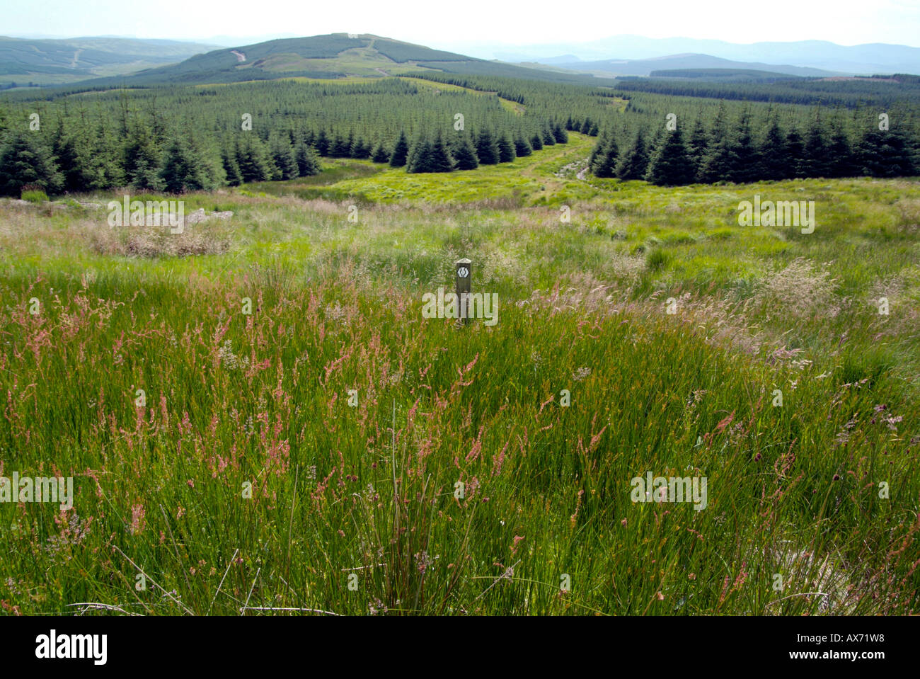 Discreet sign hi-res stock photography and images - Alamy