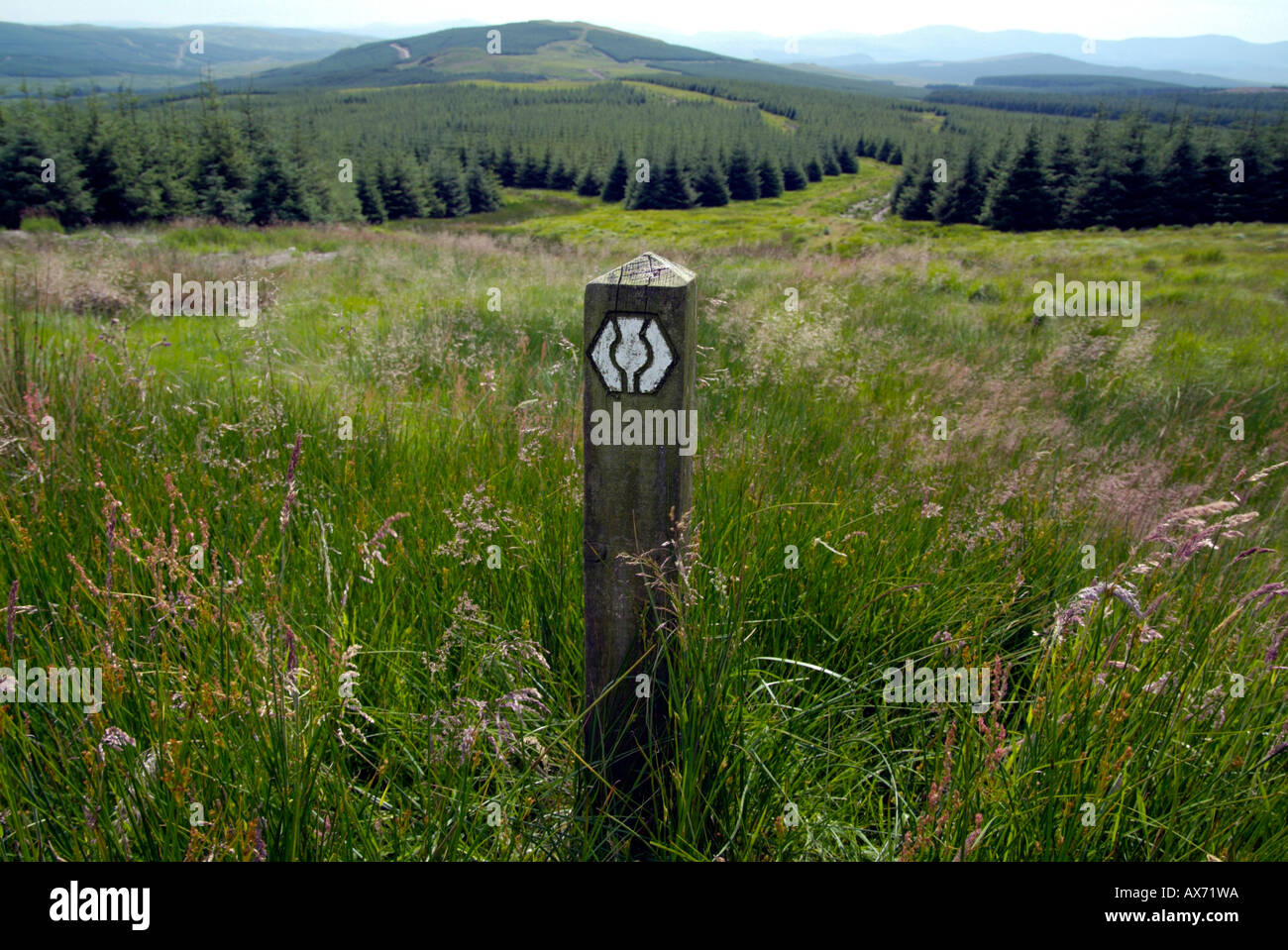 Southern Upland Way waymarker Stock Photo - Alamy