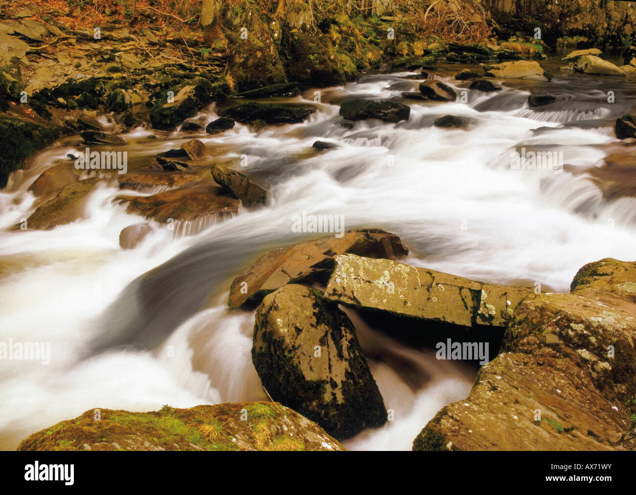 The Ingleton glens the yorkshire dales national park england uk Stock ...