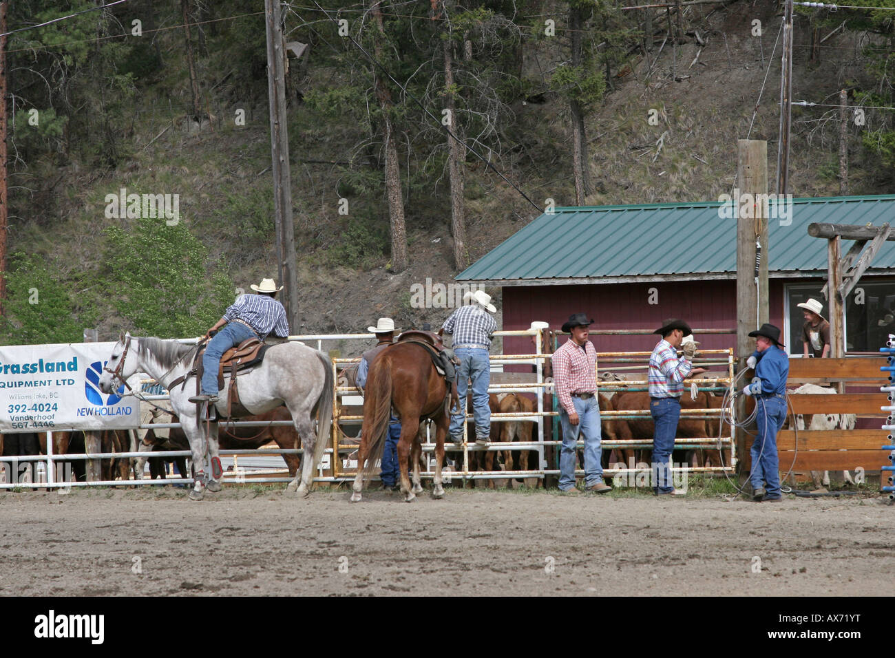 Cowboys at a rodeo Stock Photo - Alamy