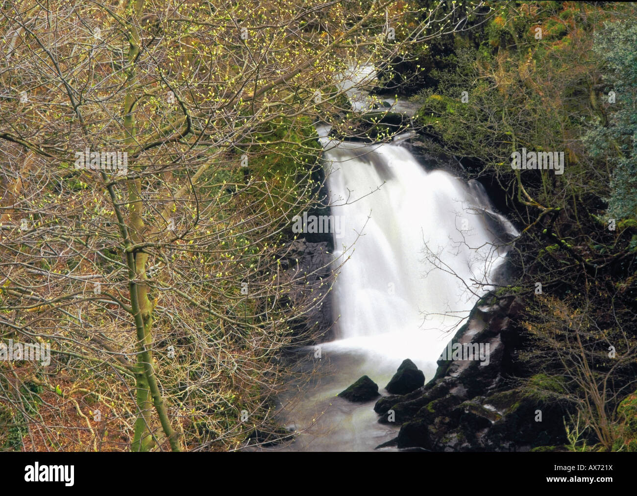 The Ingleton glens the yorkshire dales national park england uk Stock ...