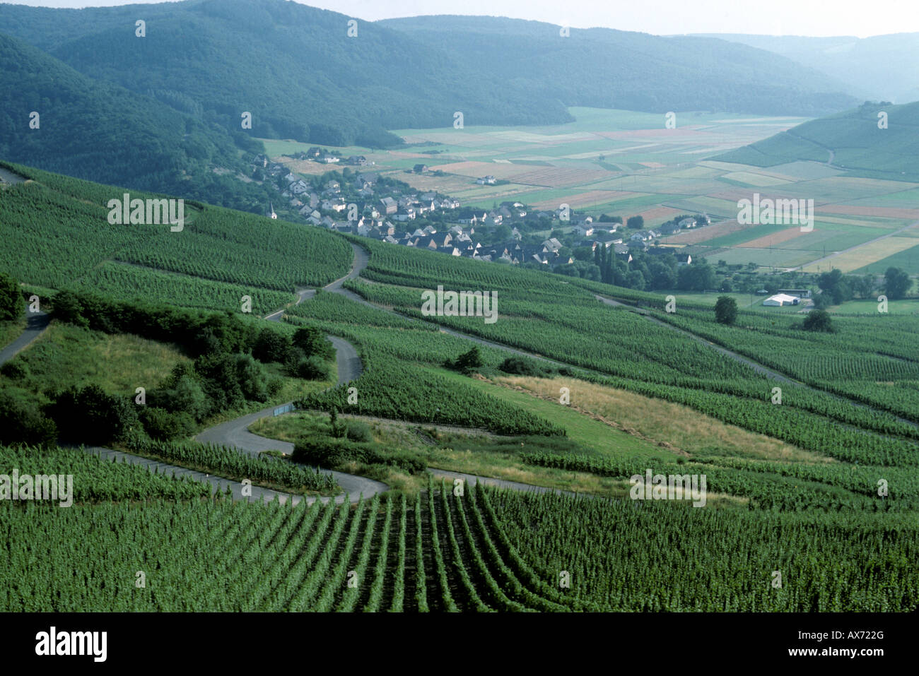 Grape mosel wine hi-res stock photography and images - Alamy