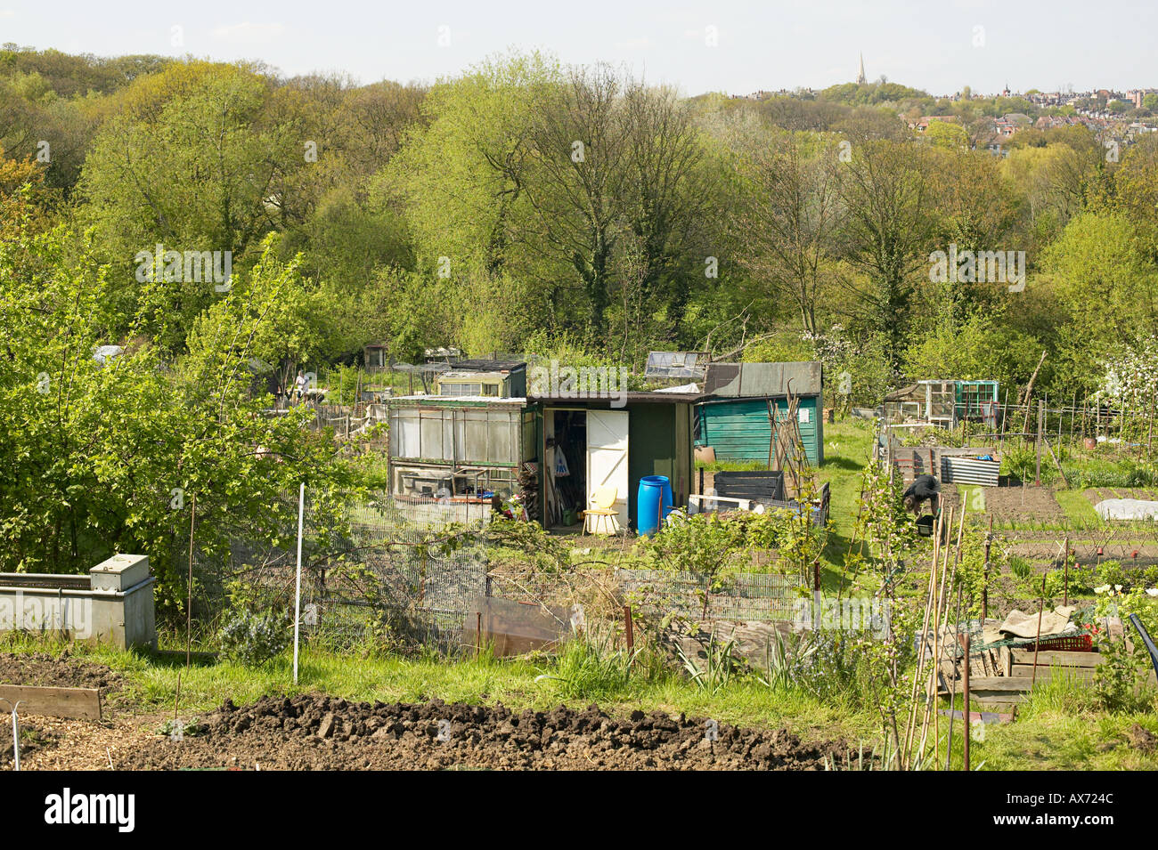 Allotment london hi-res stock photography and images - Alamy