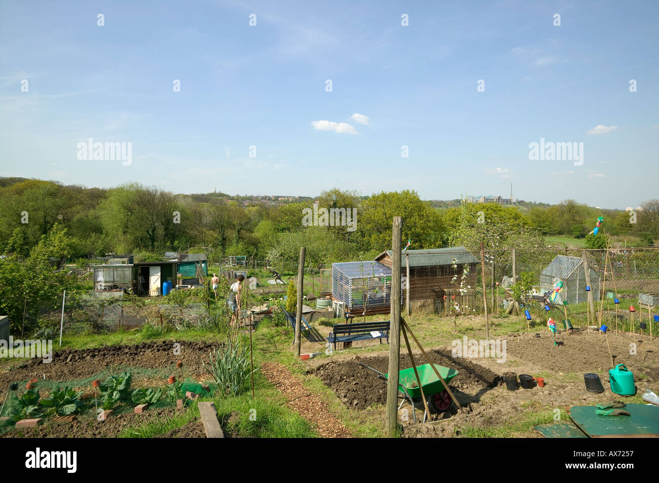 Allotment london hi-res stock photography and images - Alamy