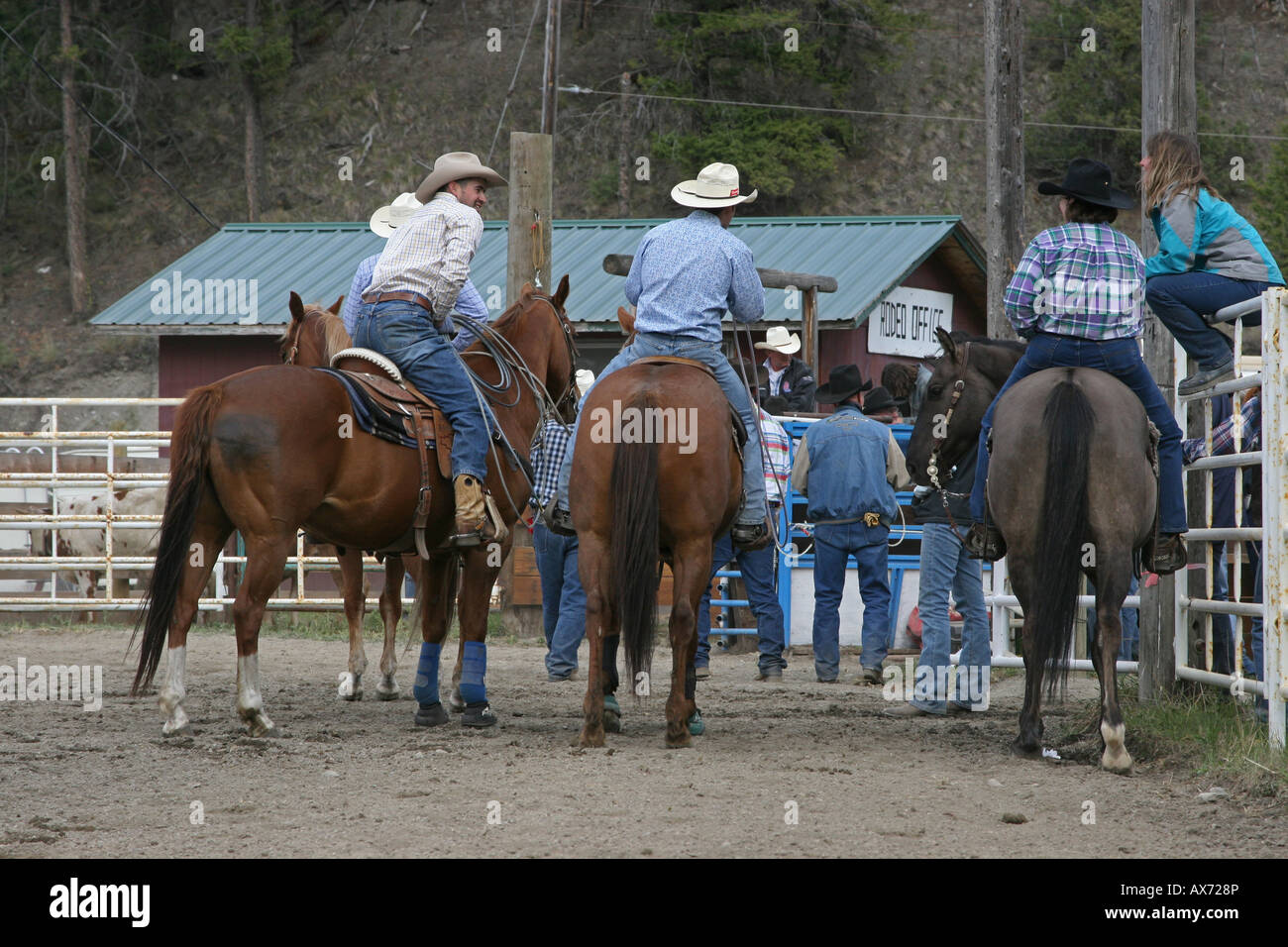 Cowboys at a rodeo Stock Photo - Alamy