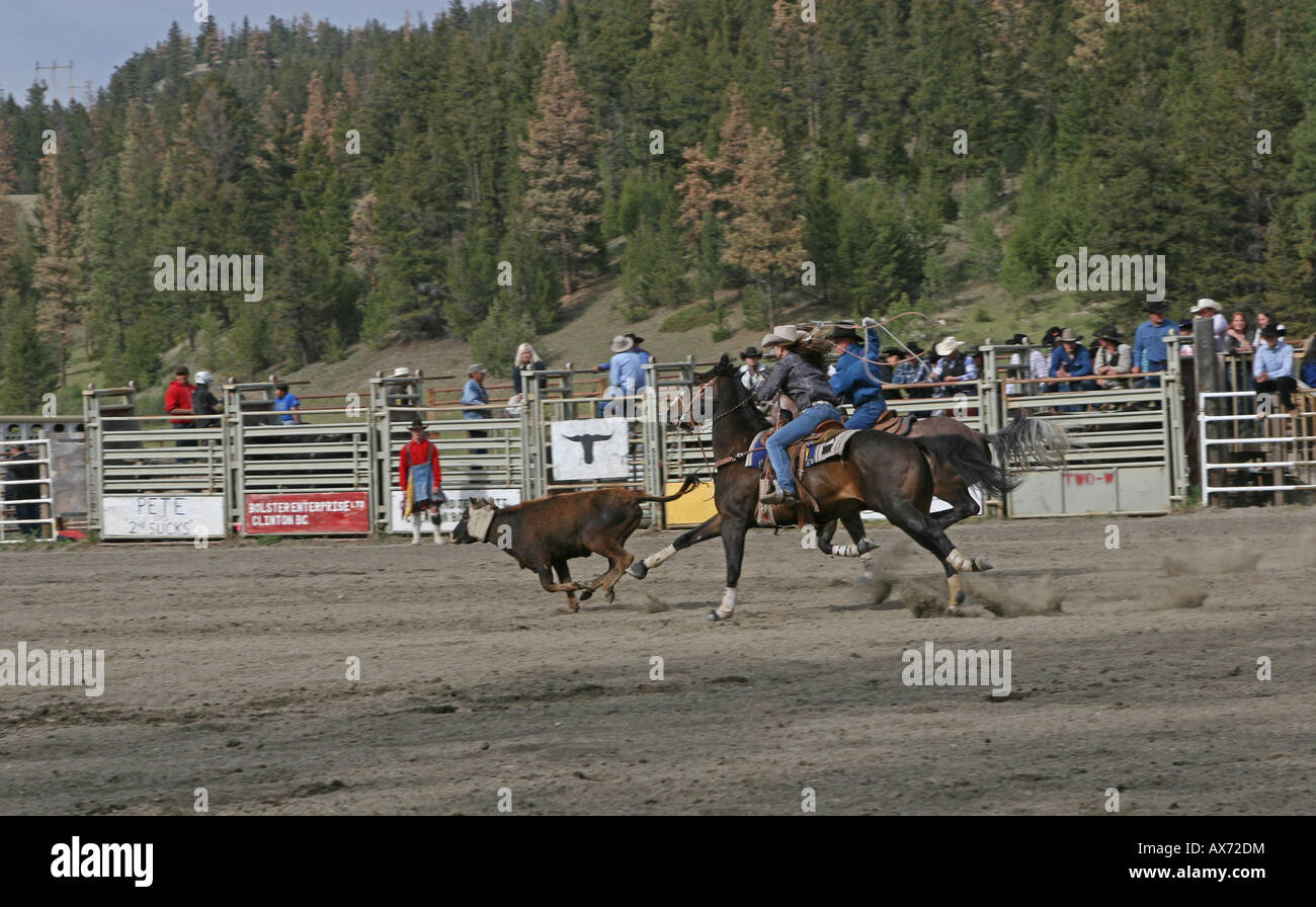 Cowboys galloping after a calf in the calf roping event at a rodeo ...