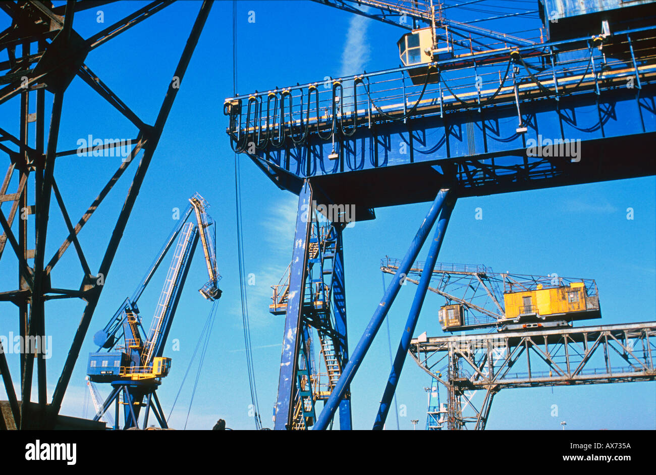 cranes in shipping port Stock Photo - Alamy