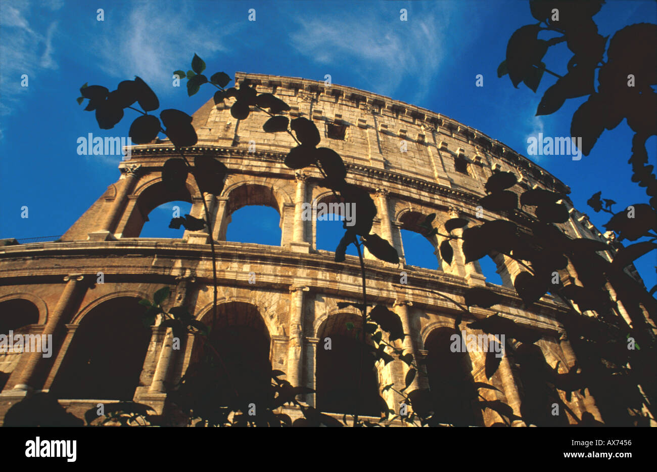 Colosseum through trees rome Italy Stock Photo - Alamy