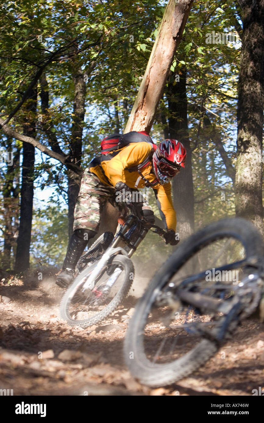 Italy, Southern Tyrol, man mountain biking Stock Photo - Alamy