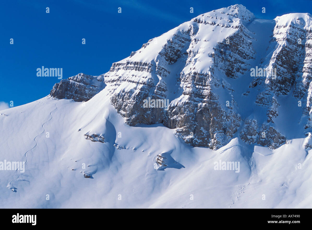 Cody jackson hi-res stock photography and images - Alamy