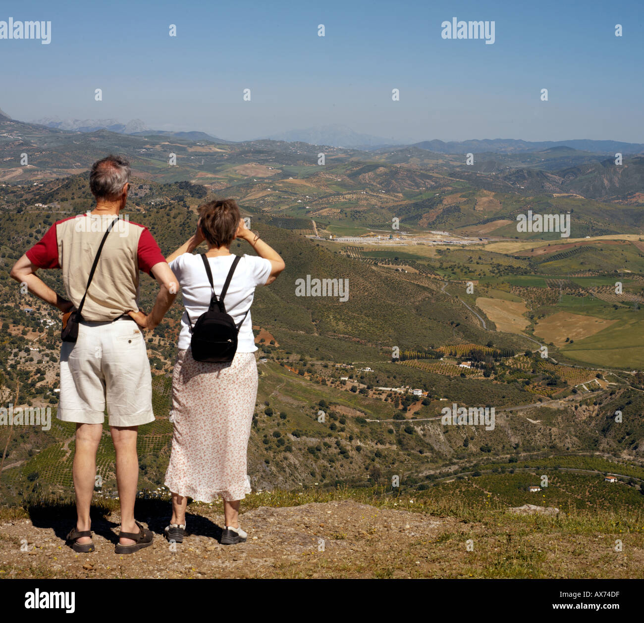 High elevation birds hi-res stock photography and images - Alamy