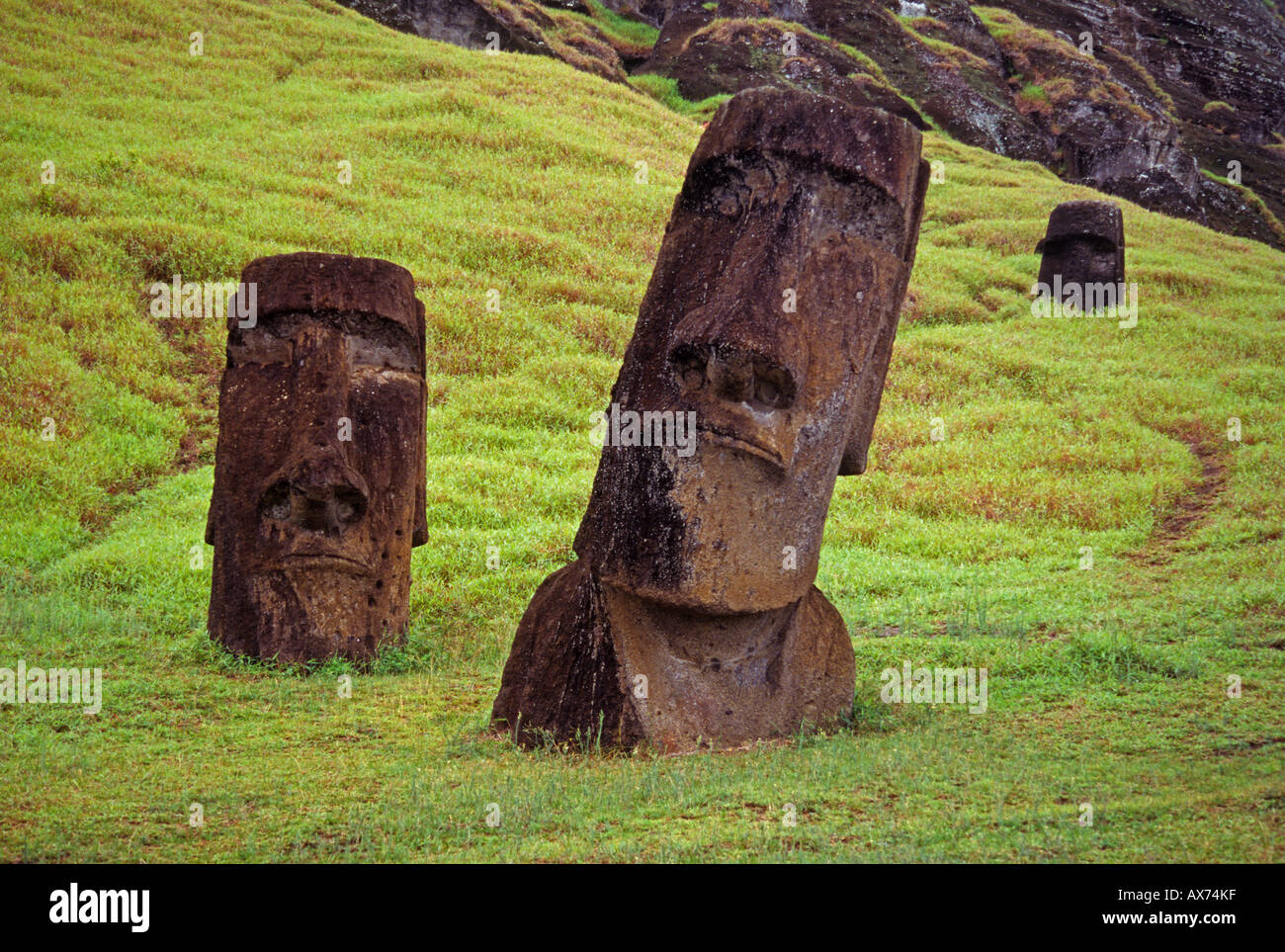 Moai excavation hi-res stock photography and images - Alamy