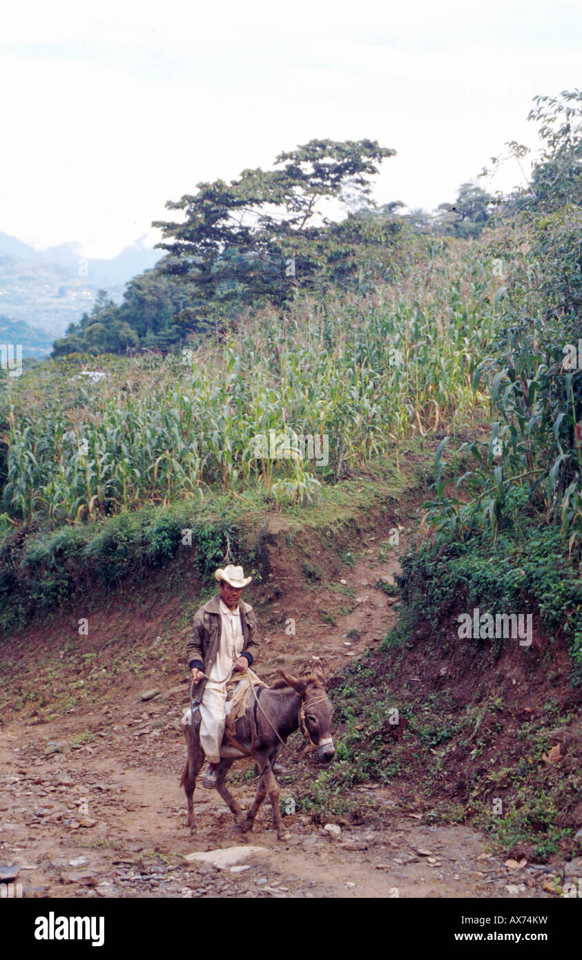 Caption MEXICO NATIVE MAN FROM OAXACA SOUTHERN MEXICO Photo Julio ...