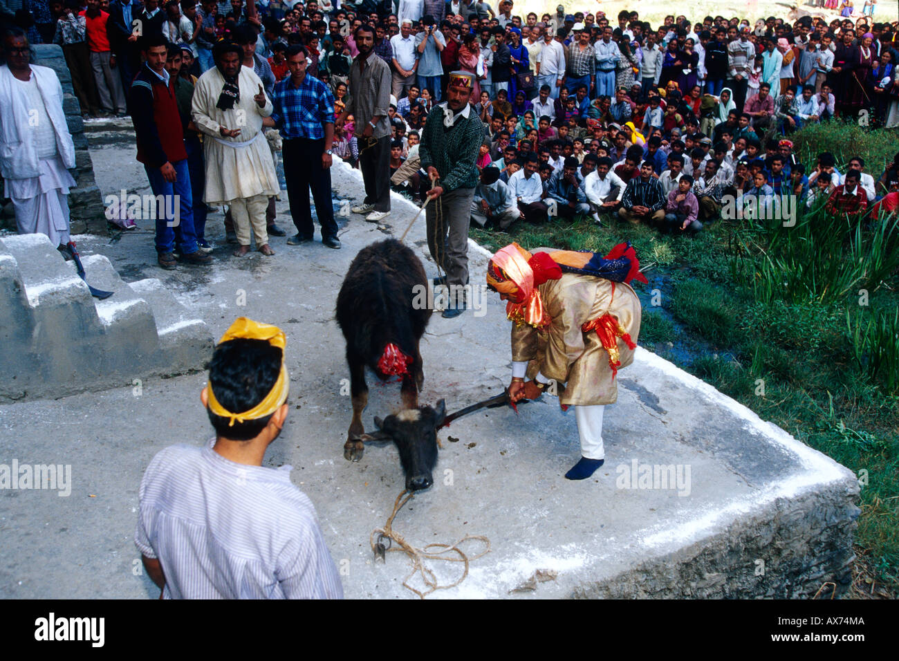 Ritual slaughter hi-res stock photography and images - Alamy
