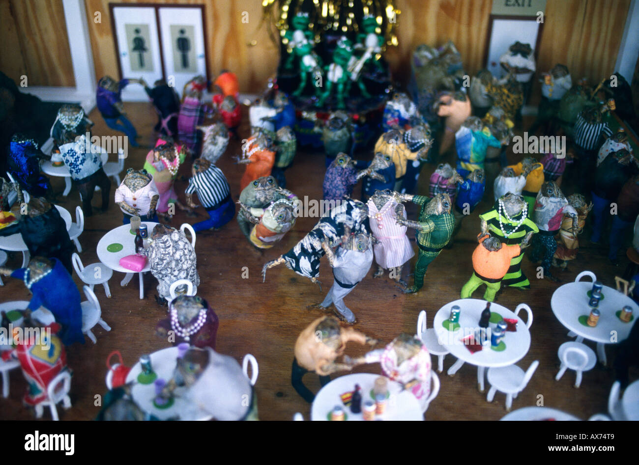 Cane beetles hi-res stock photography and images - Alamy