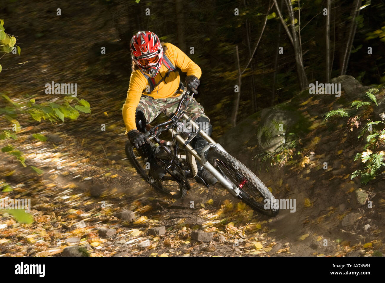Italy, Southern Tyrol, man mountain biking Stock Photo - Alamy