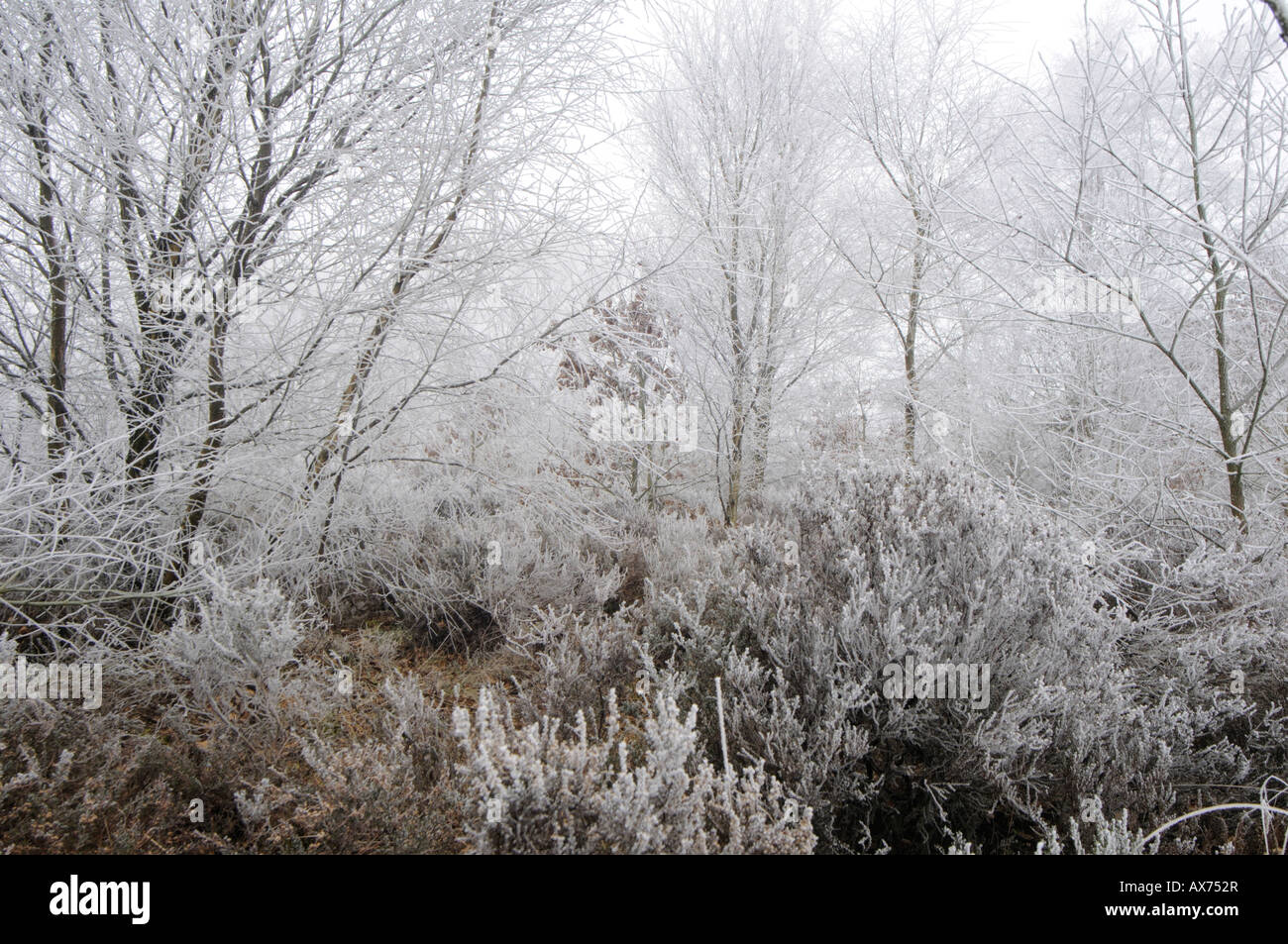 Frosty walks hi-res stock photography and images - Alamy