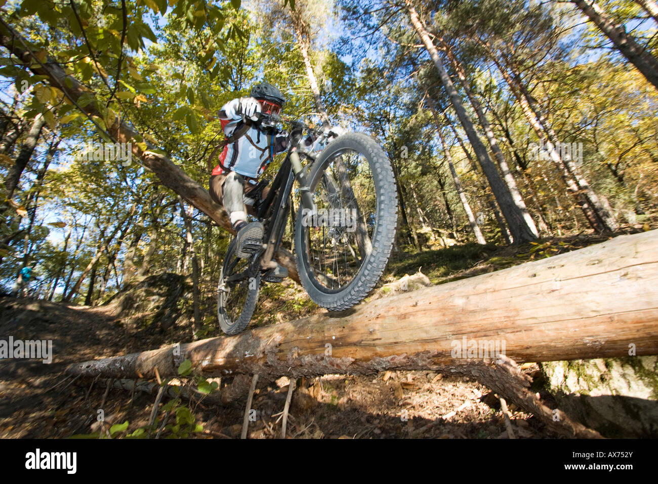 Italy, Southern Tyrol, man mountain biking Stock Photo - Alamy