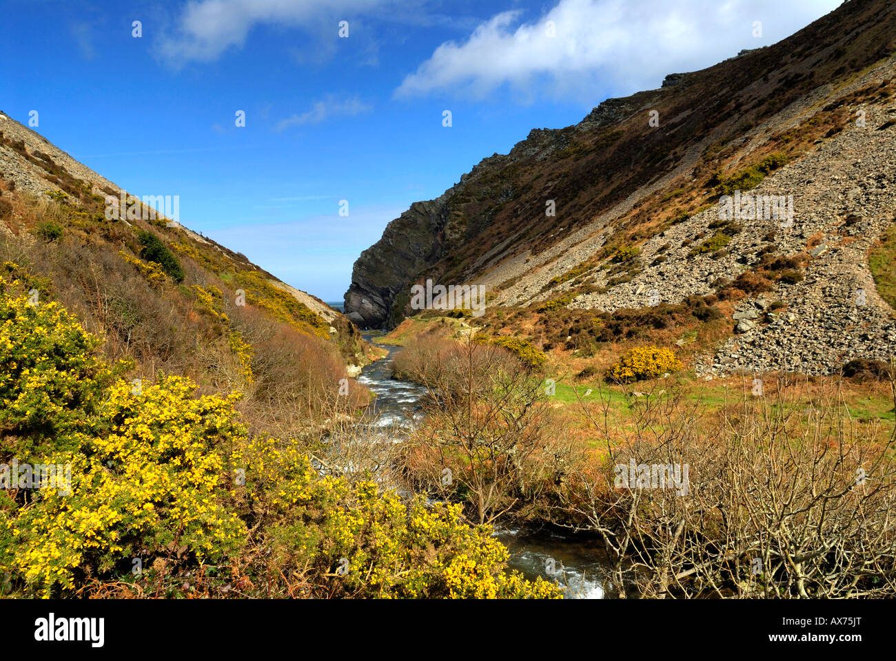Heddon's Mouth Cleave Stock Photo - Alamy