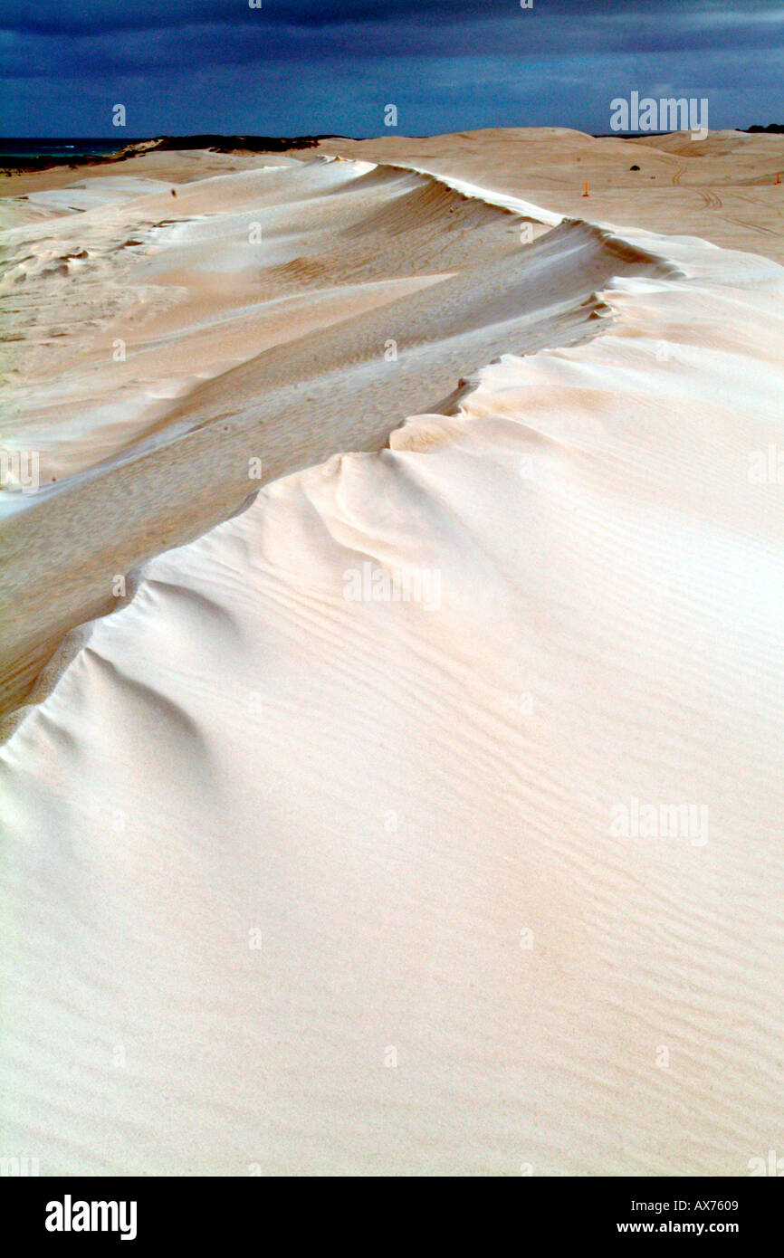 Sandboarding on the lancelin dunes Western Australia Stock Photo - Alamy