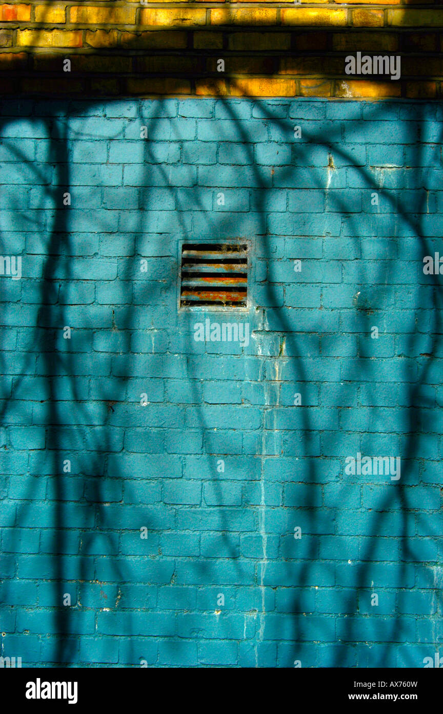 Blue wall with trees shadows in a small window in the middle Stock ...