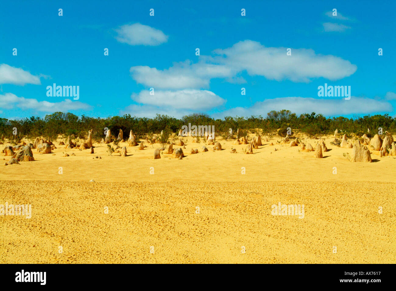 The Pinnacles Cervantes Western Australia Stock Photo - Alamy