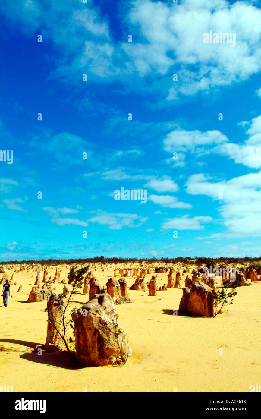 The Pinnacles Cervantes Western Australia Stock Photo - Alamy