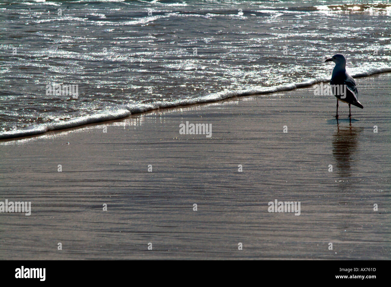 Hangover bay australia hi-res stock photography and images - Alamy