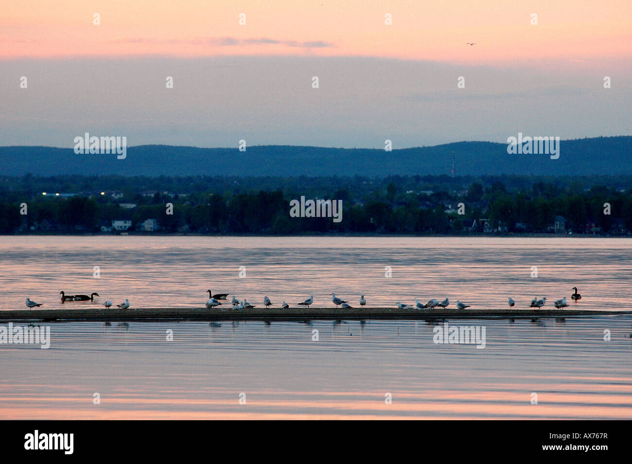 Birds rest here hi-res stock photography and images - Alamy