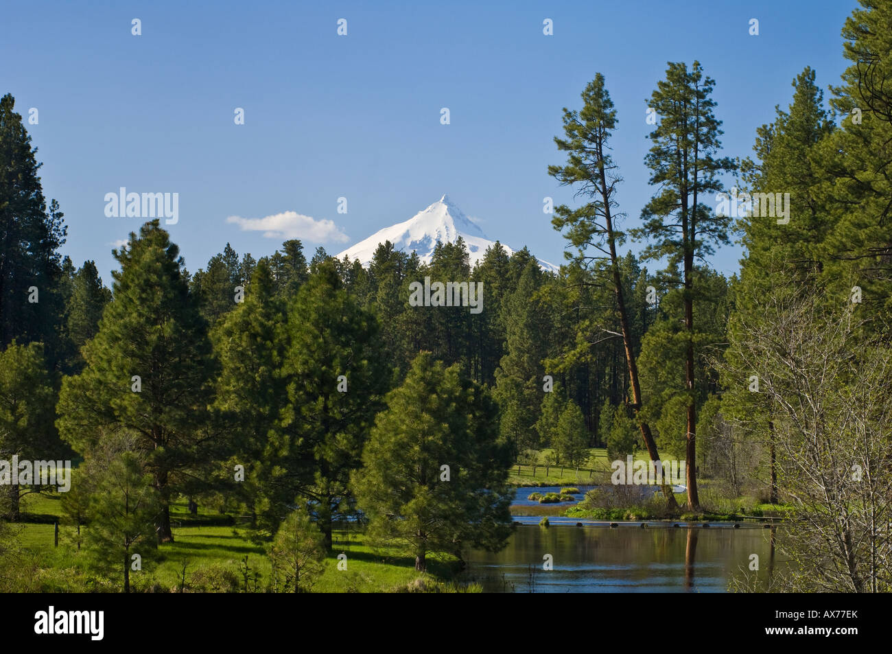 Mount jefferson headwaters metolius river hi-res stock photography and ...