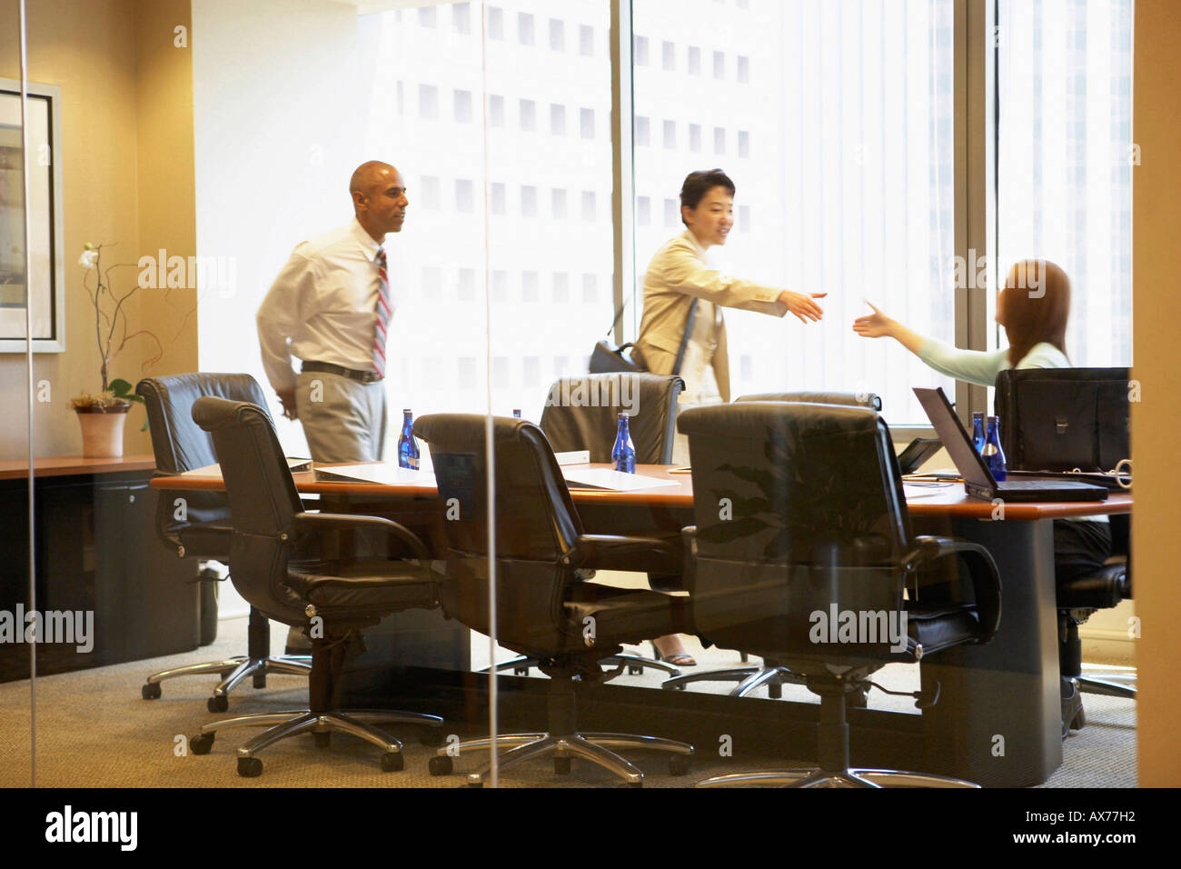 Side profile of a businesswoman reaching out for a handshake with ...