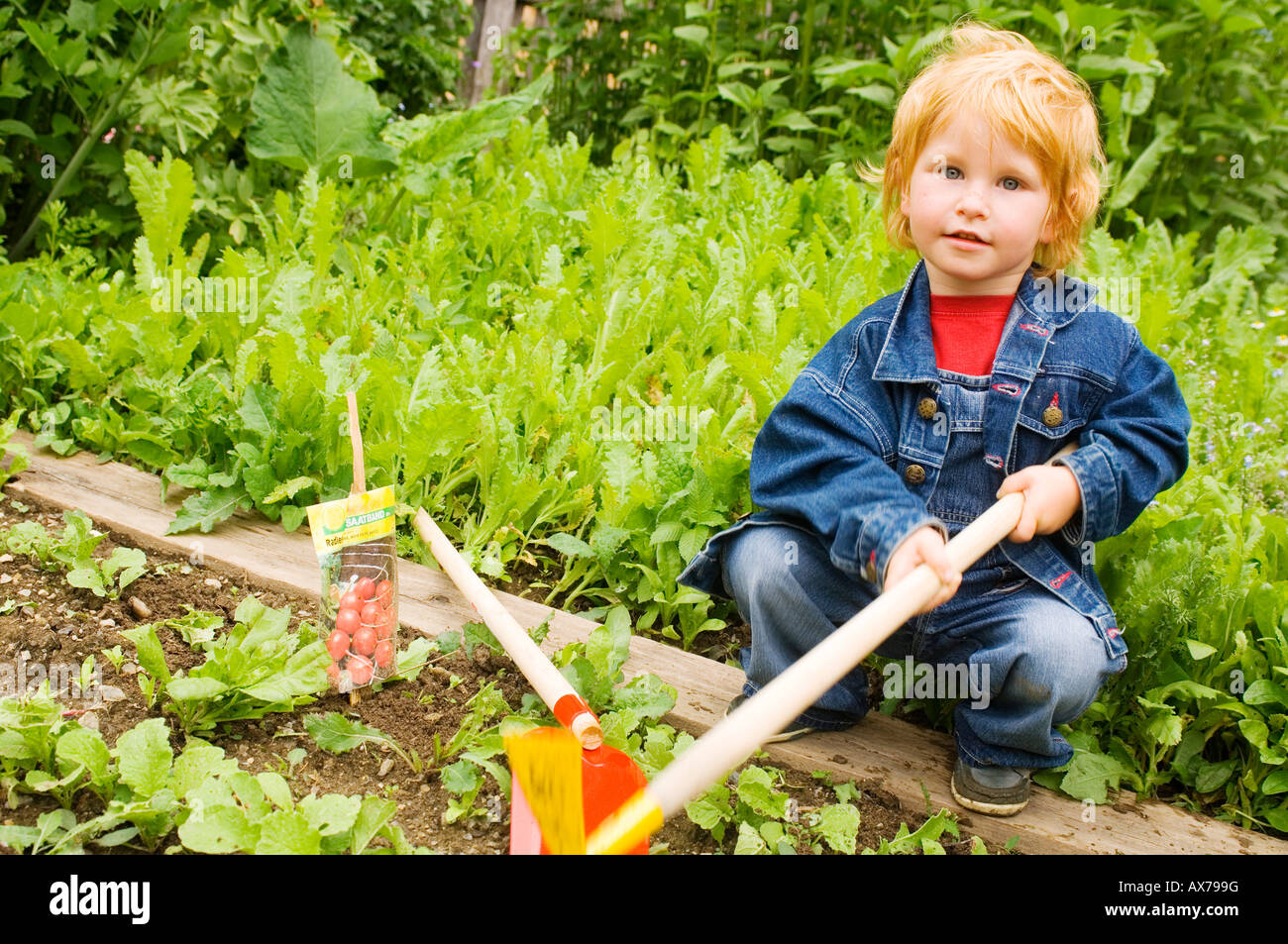 Kids Cowering High Resolution Stock Photography and Images - Alamy