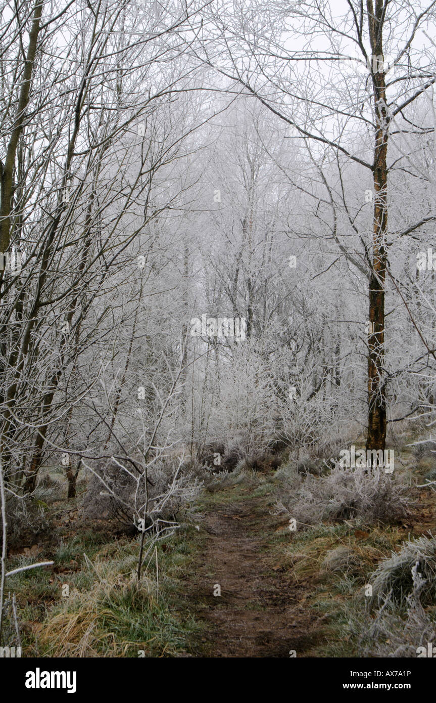 Frost mist misty hi-res stock photography and images - Alamy