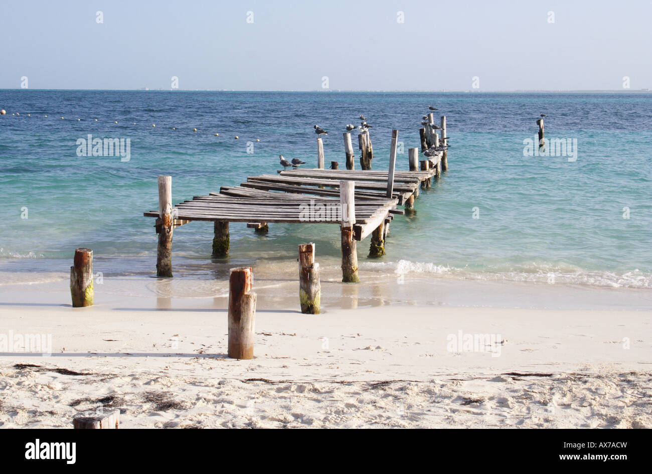 an old wood dock on the beach Stock Photo - Alamy