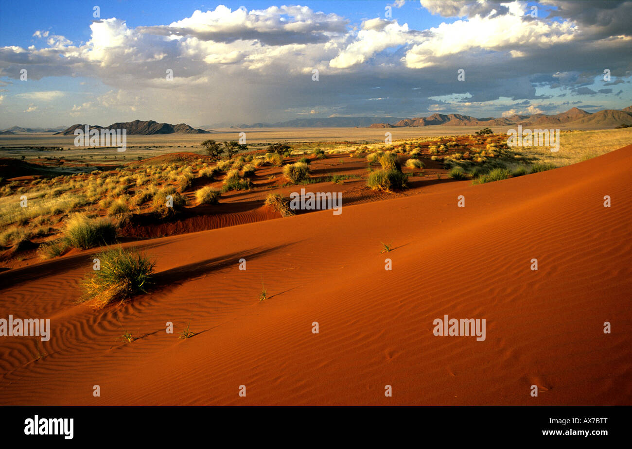 Namib desert dune grass rain cloud Dieprivier Namibia Stock Photo - Alamy