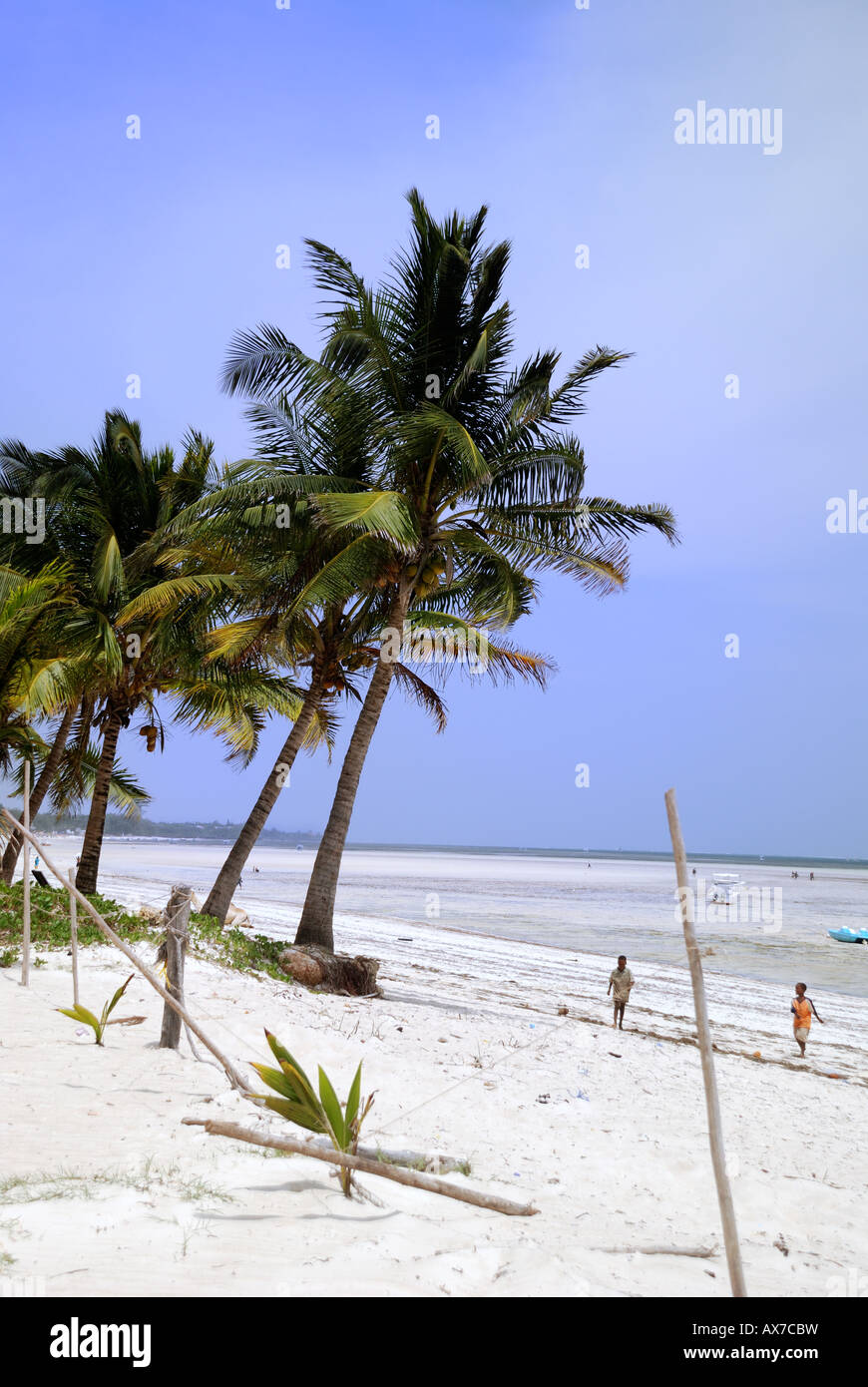 Palm trees on the coast of Kenya at Bamburi beach Stock Photo - Alamy