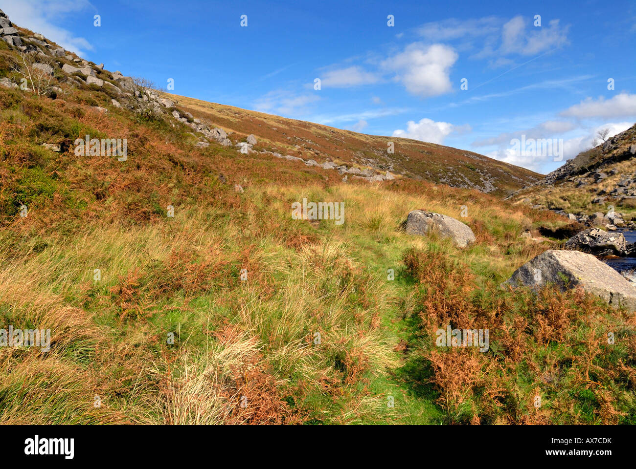 Dartmoor National Park Willsworthy Range Tavy Cleave Stock Photo - Alamy