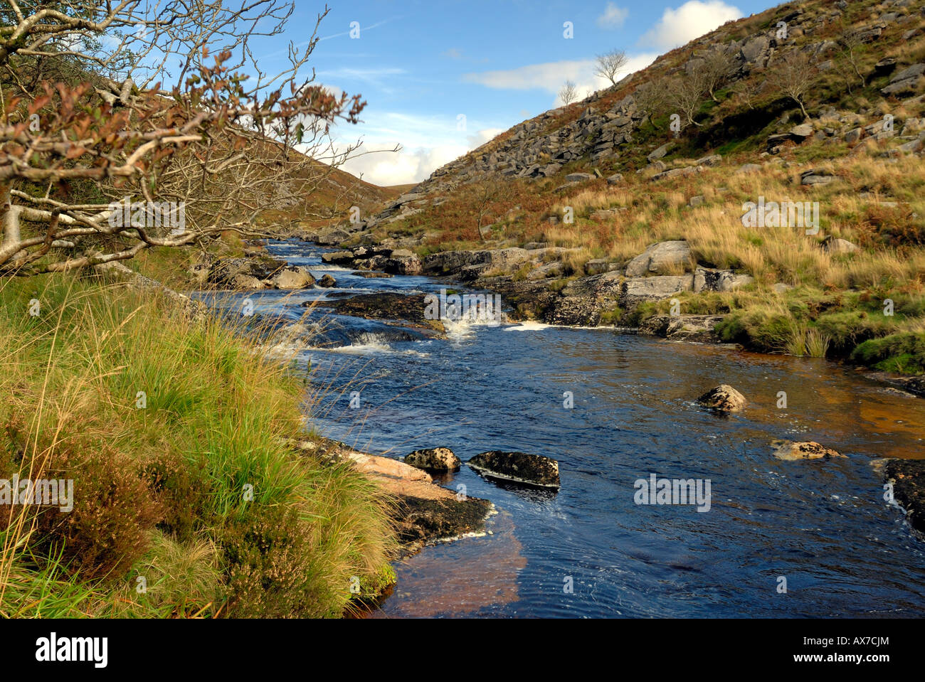 Willsworthy hi-res stock photography and images - Alamy