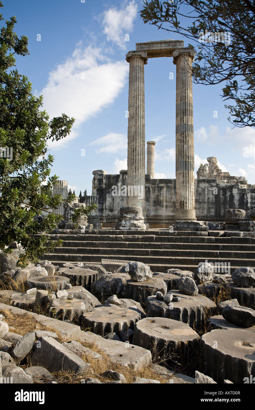 Ruined Temple Framed by trees the stumps of columns frame a view of ...